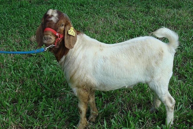 Cabaña Campo de Vida