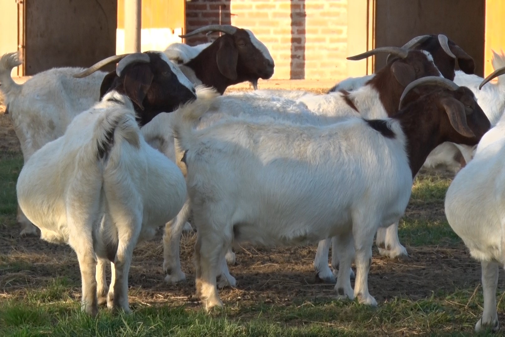Cabaña Campo de Vida